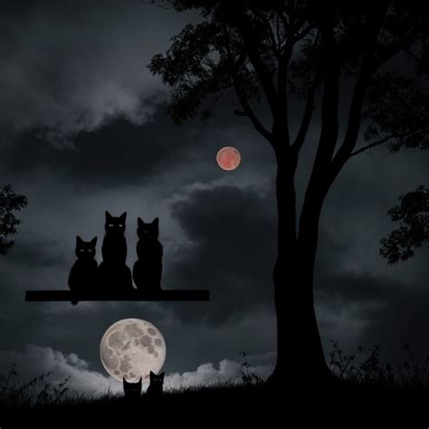 Different Prompt Image Created By User732213274799767049 Tensorart