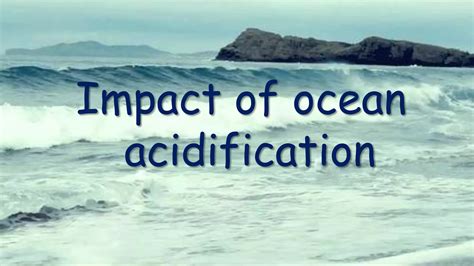 Ocean Acidification Pptx