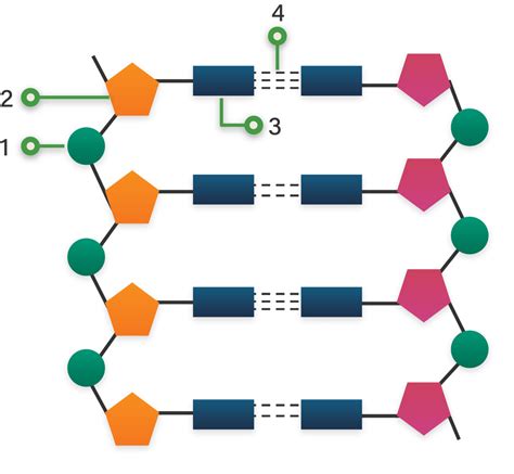 Struktur Molekul Molekul Sains Atom Simbol Ikatan Kimia Struktur Dna