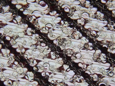 Orbis Stock Illustration Illustration Of Grey Batik 306007706