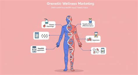 Human Figure Illustration Split Into Two Halves Blue And Red