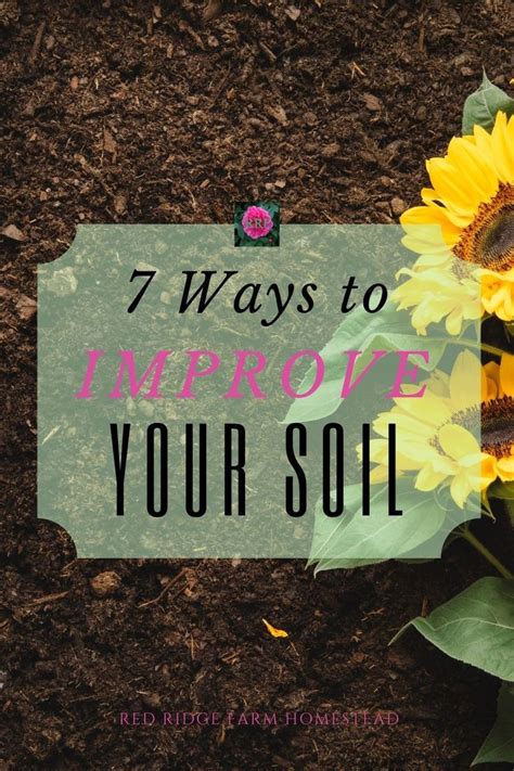 7 Ways To Improve Your Soil Soil Health Tips Starting A Garden