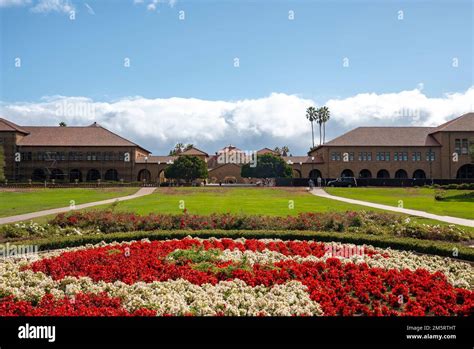 Beautiful Flowers Growing In Front Of Stanford University Building