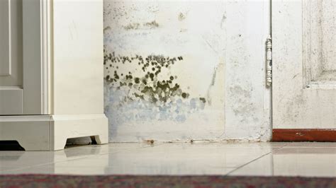 Insulation Coverage Homebuilding