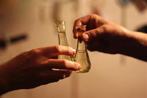 Lečenje U Kafani Experiment