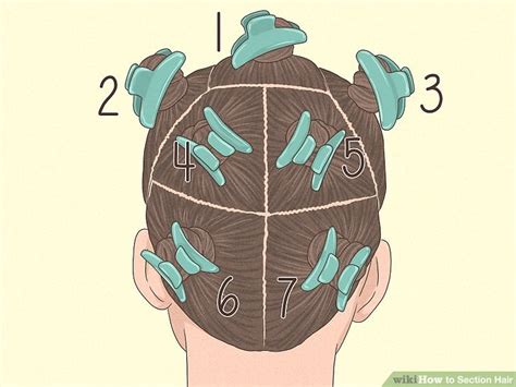 3 Ways To Section Hair Wikihow
