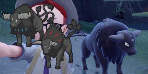Pokemon Scarlet And Violets Regional Tauros Was Needed But Three Is
