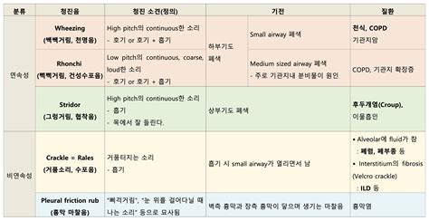 시진 촉진 타진 청진 메디톡