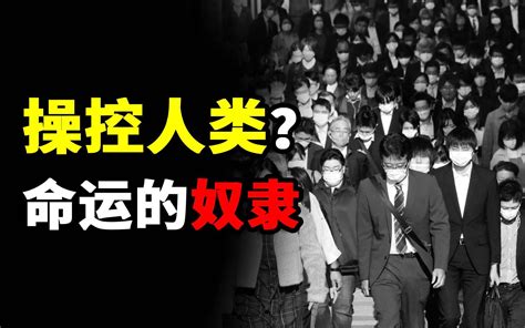 什么在操控我们的生命？为何人类总是要沦为奴隶？被奴役的命运 哔哩哔哩