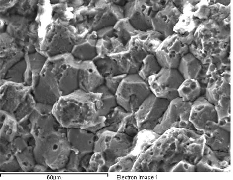 Sem Image Of The Intergranular Crack Propagation Observed In The Crack