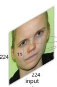 Figure CNN Structure For Facial Expression Recognition Download Scientific Diagram