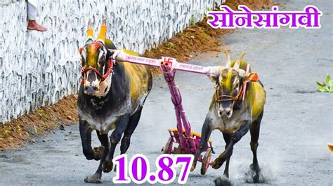 सोनेसांगवी रेकॉर्ड ब्रेक घाटाचा राजा 1087 शौर्य दादा दंडवटे कै