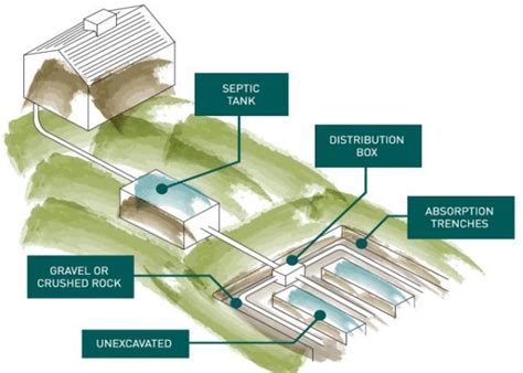 How Long Do Septic Tank Lines Last