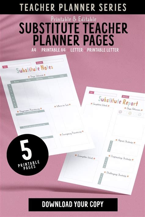 Fillable Printable Substitute Plan Substitute Notes And Substitute