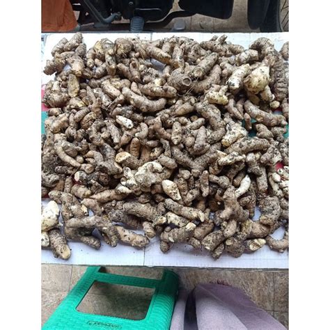 Jual Temu Mangga Segar Dan Kering Shopee Indonesia