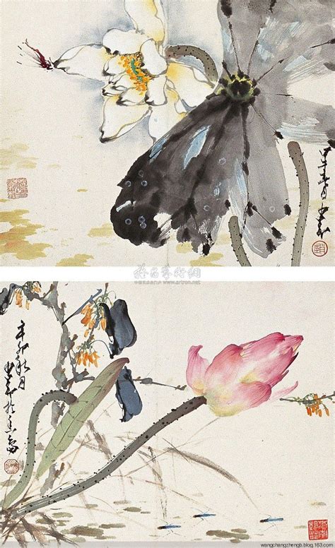 赵少昂 荷花作品欣赏 wangchangzhengb wangchangzhengb的博客 Chinese art