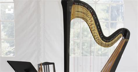 갈색 나무 프레임 흰색과 검은 색 패딩 의자 사진 Unsplash의 무료 하프 이미지