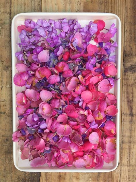 Confetti Diy How To Make Wedding Confetti With Flower Petals Dried