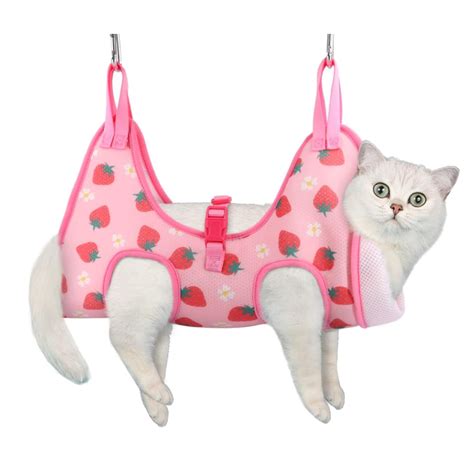 8 Best Cat Grooming Harnesses In 2025 Reviews And Top Picks Catster