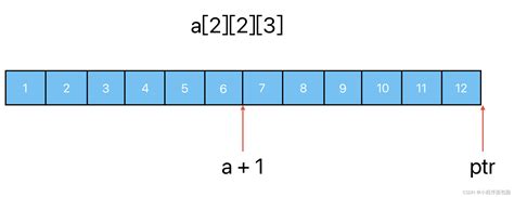 C语言—每日选择题—day44 Csdn博客