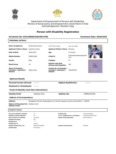 Application Pdf Disability Government And Personhood