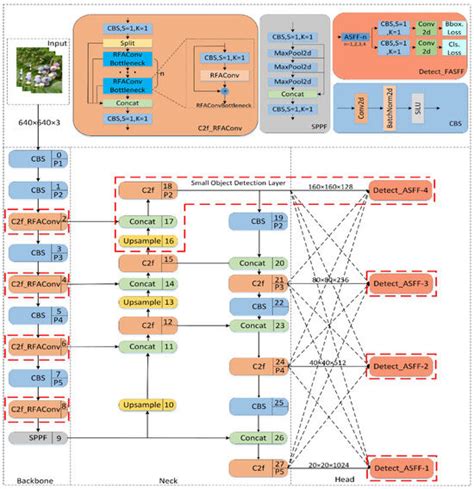 Research On Blueberry Maturity Detection Based On Receptive Field Attention Convolution And