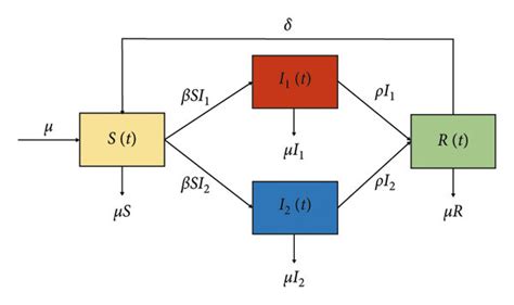 The Compartmental Diagram For The Sirs Model With Two Epidemic Diseases Download Scientific