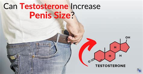 Can Testosterone Increase Penis Size