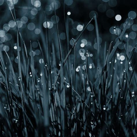 Translucent Wallpapers Top Free Translucent Backgrounds Wallpaperaccess