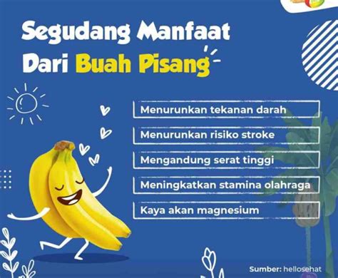 10 Manfaat Pisang Ambon Buah Tropis Lezat Yang Penuh Kesehatan