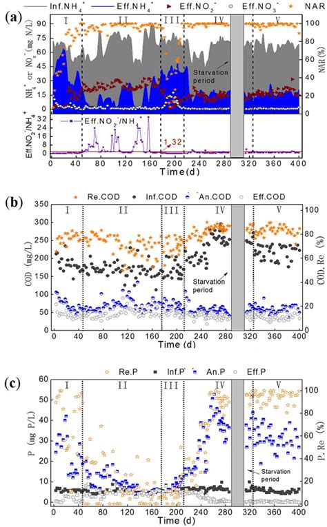 Nutrient Removal In Ebpr Sn Sbr A N Variation Including Influent