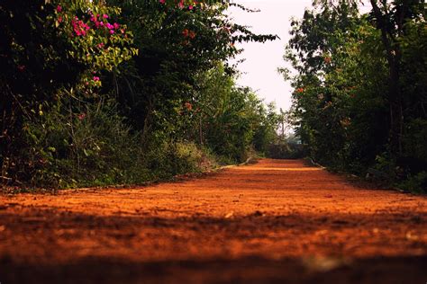 Exploring The Best Tourist Places In Andhra Pradesh Cheapest