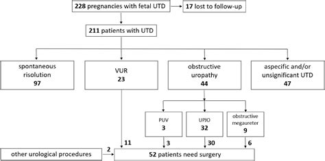 Prenatal Diagnosis Of Urinary Tract Dilation Comparative Prognostic
