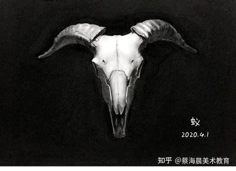 04期素描进阶班学员蚁兴趣爱好 知乎