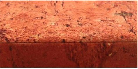 Sponge Funny Lifelike Tile Brick