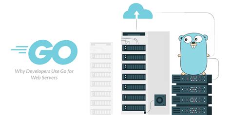 Why Developers Use Go Language For Web Servers Zco Corporation