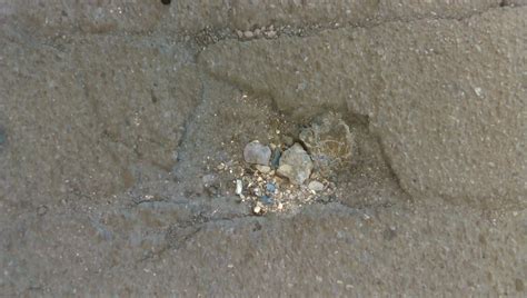 Deteccion Object Detection Dataset By Deteccion