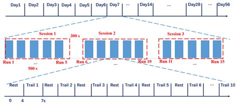 The Experiment Procedure Download Scientific Diagram