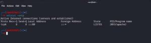 Monitoring Active Connections In Kali Linux Using Netstat Tech Hyme
