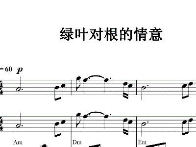 绿叶对根的情意 毛阿敏 歌谱 五线谱