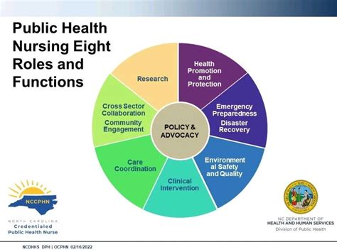 Dr Susan Haynes Little Dnp Rn Cphn Phna Bc Cph Faan On Linkedin