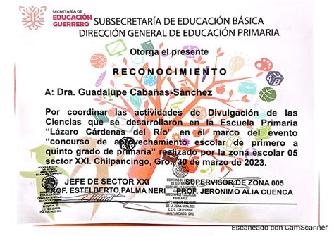 Pdf Taller De Papiroflexia