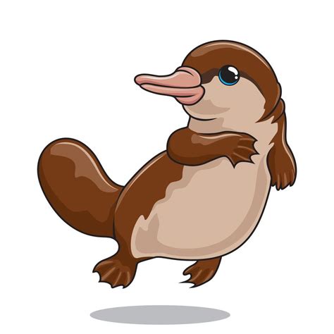 Platypus Vector Art Icons And Graphics For Free Download