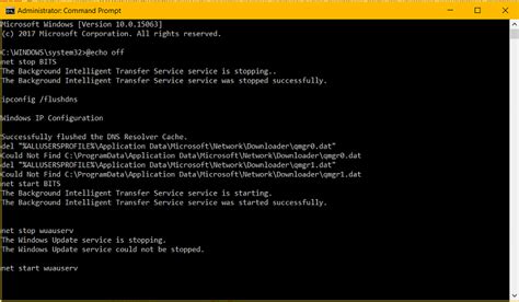 Bitsadmin Pops Up Randomly And Immediately Disappears Solved Page 11 Windows 10 Forums