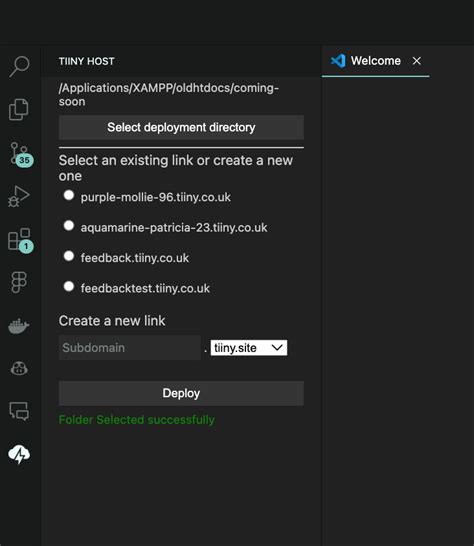 Tiiny Host Visual Studio Marketplace