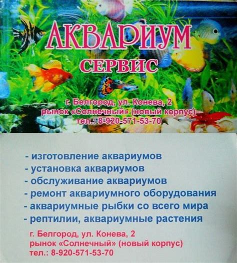 Аквариум (Белгород) | ВКонтакте