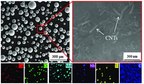 SEM Image Showing The Morphology Of 0 8 Wt CNTs CoCrMoNbTi 0 4 Mixed