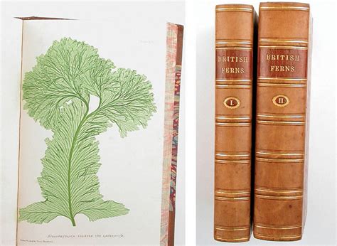 Thomas Moore Works Zucker Art Books