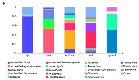 fungal genera shared among different protocorms and substrates a