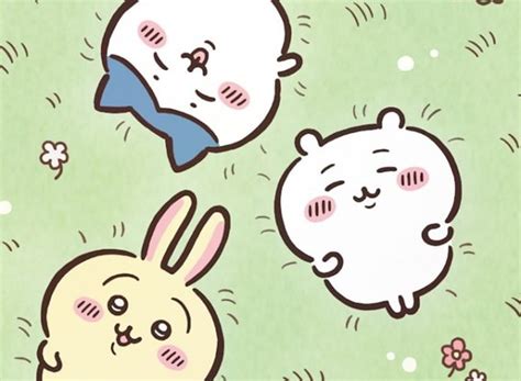 Something Small And Cute Tv Show Air Dates And Track Episodes Next Episode